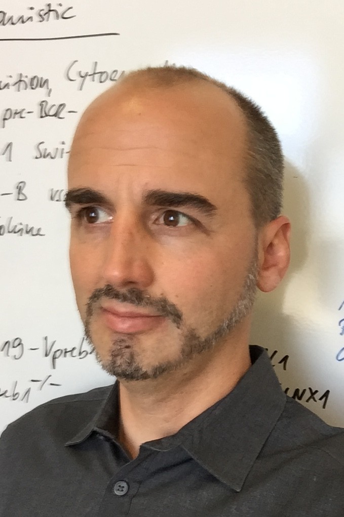 2026 17th Annual T Cell Lymphoma Forum - UVA Health - Continuing ...